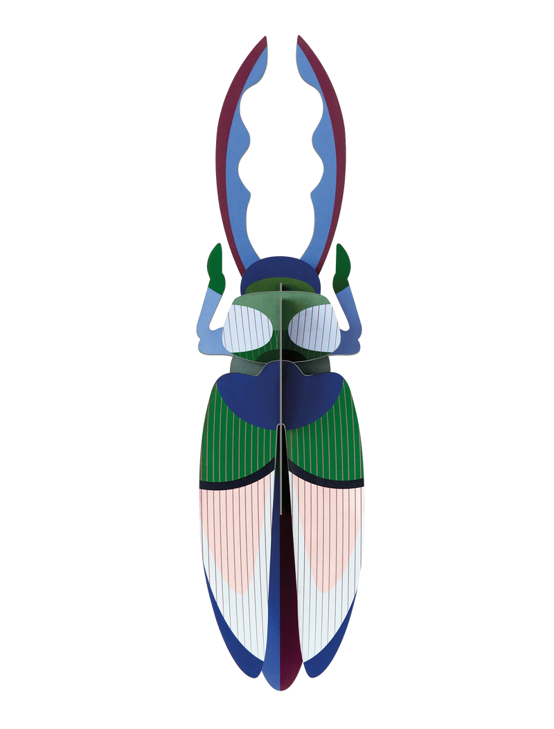 Big Insects - Antler beetle – ANOTHER STORY